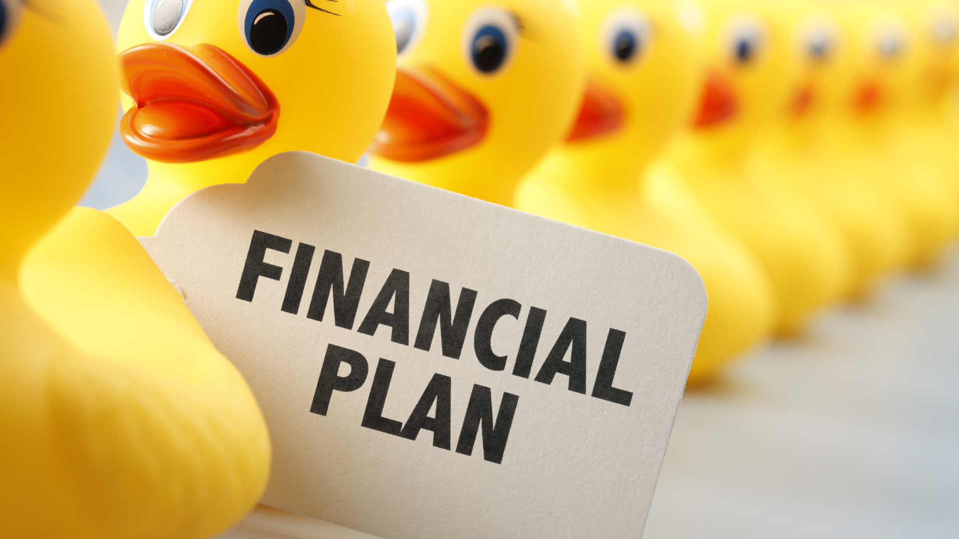Are All of Your Financial Ducks in a Row? | Fritz Law LLC